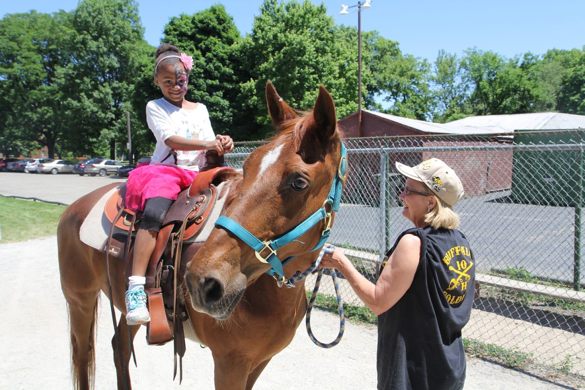 Gallery - North Rosedale Park Civic Association